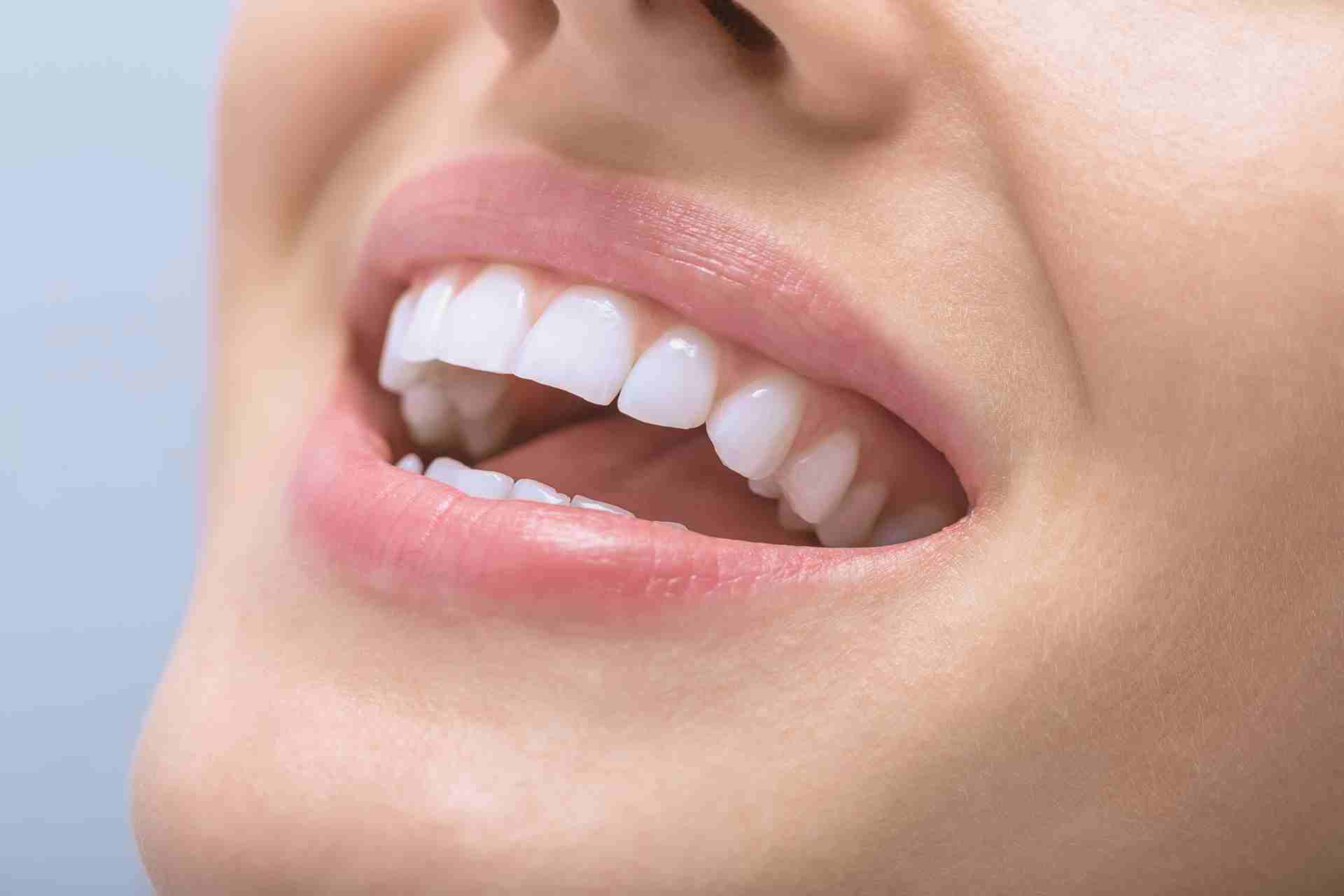 Teeth Names Explained: Types, Functions, and FAQs